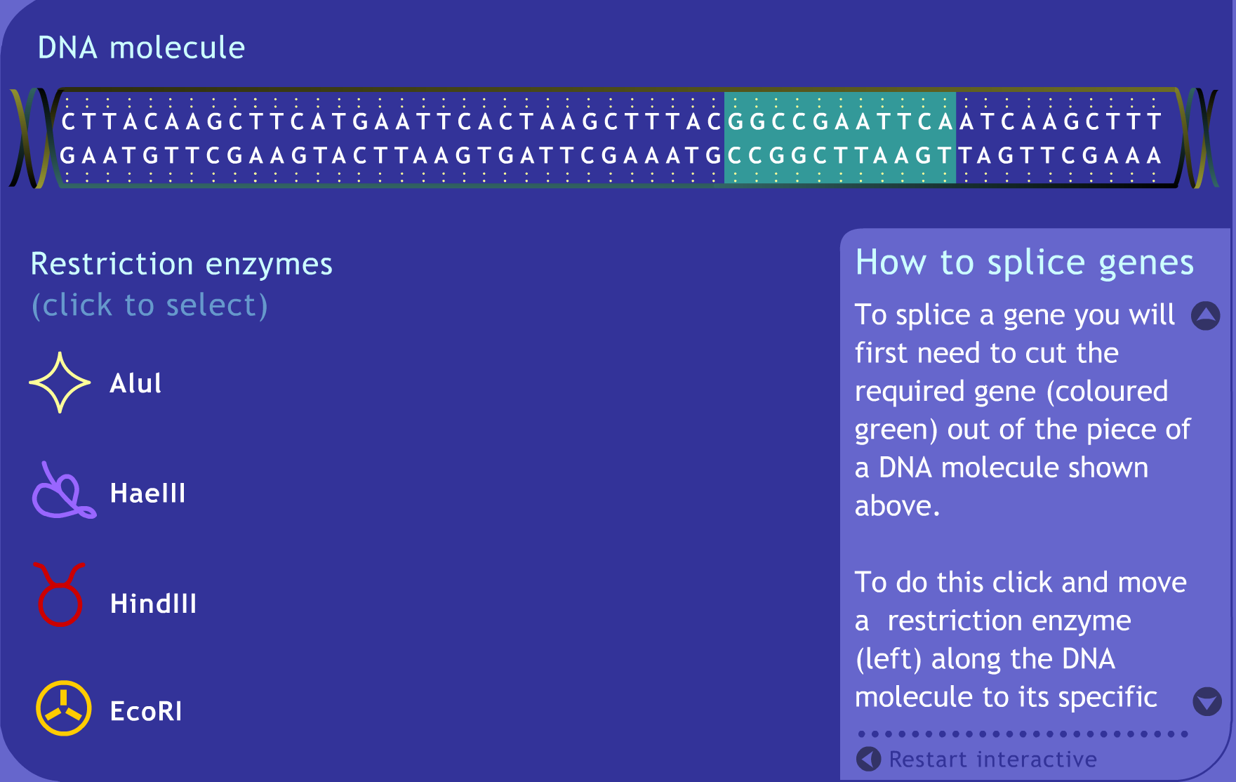 Laboratorio | Animaciones de Biología